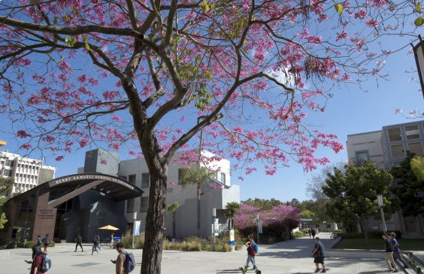 Accommodations | UCI DCE